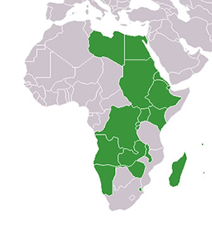 COMESA Member States to fast-track the use of digital Trade Instruments ...